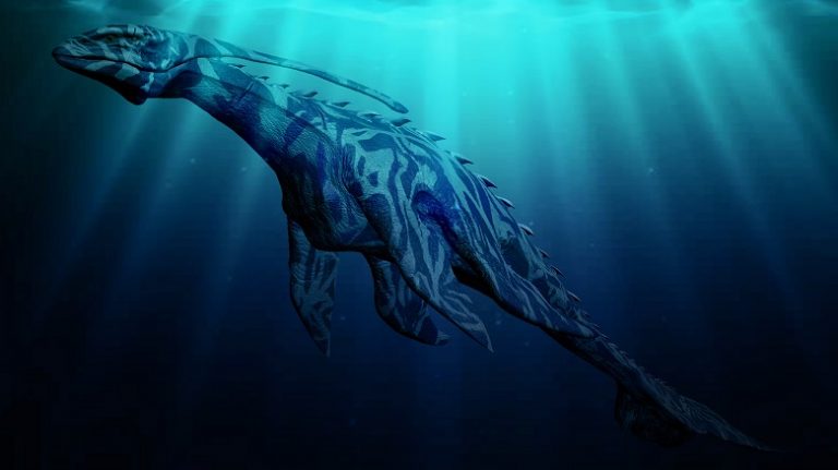 Amazingly Detailed 3D Printed Sea Monster | 3D Printing Blog | i ...