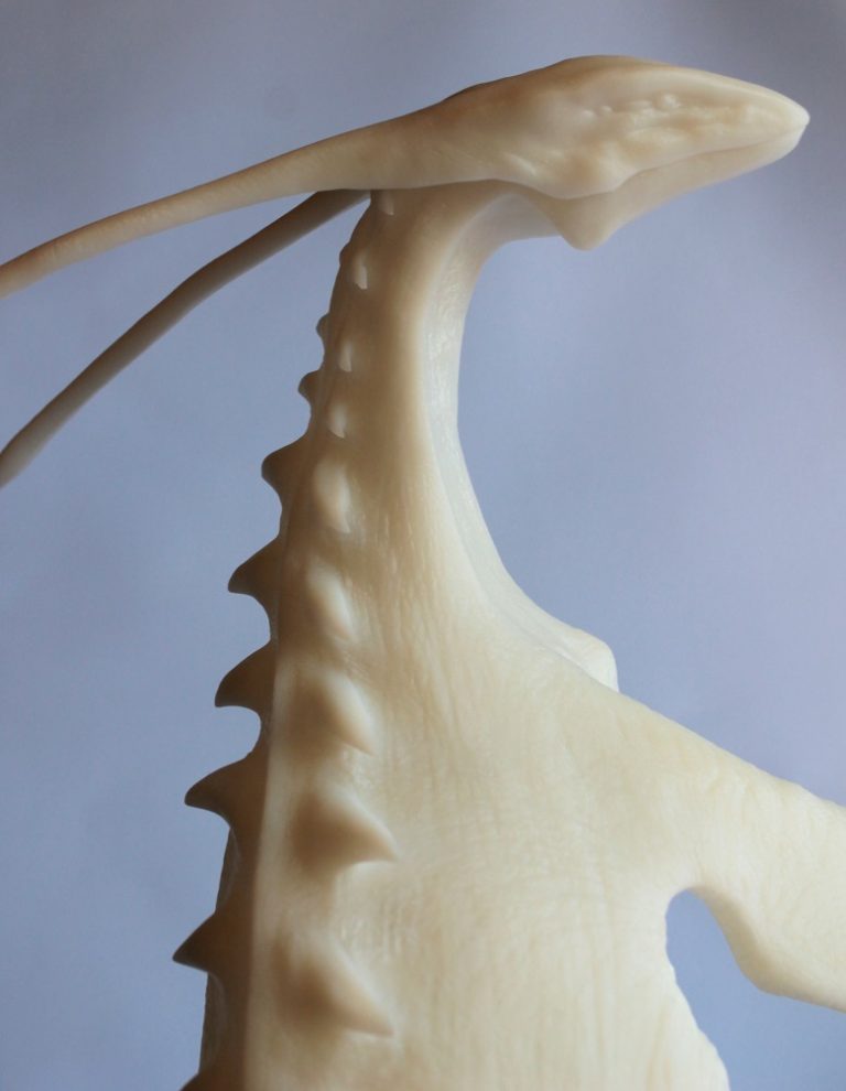 Amazingly Detailed 3D Printed Sea Monster | 3D Printing Blog | i ...