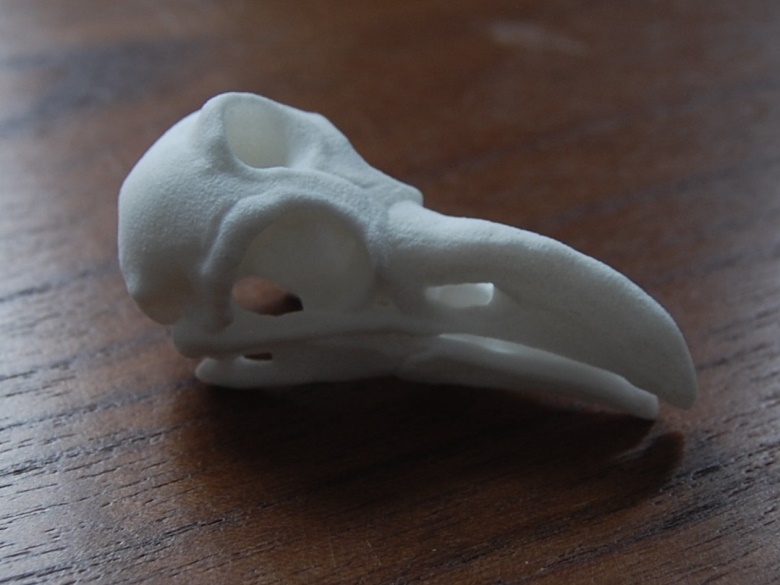 Mutant Crow | 3D Printing Shop | i.materialise