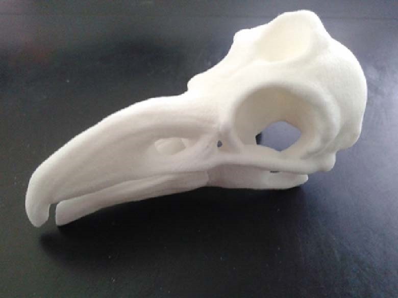 Mutant Crow | 3D Printing Shop | i.materialise