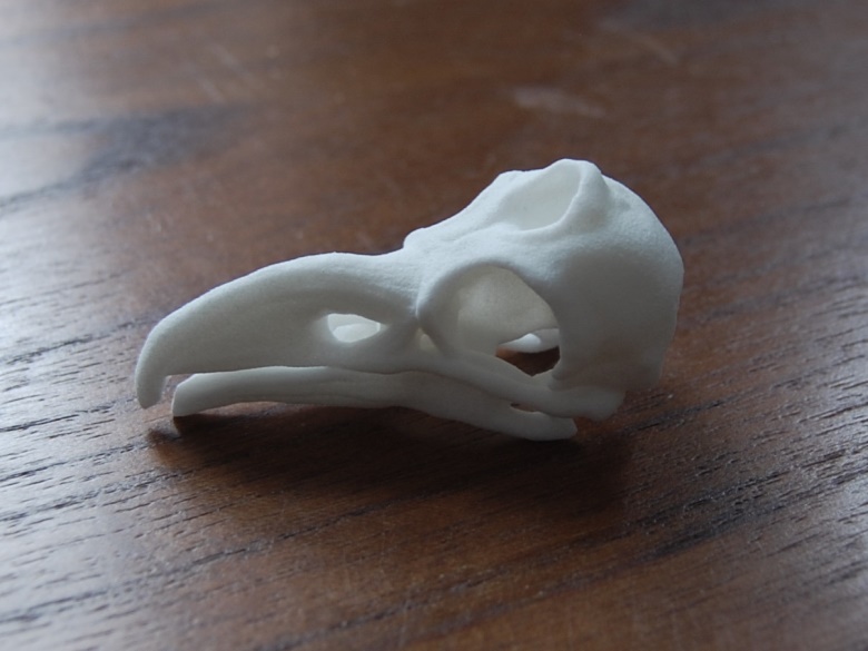 Mutant Crow | 3D Printing Shop | i.materialise