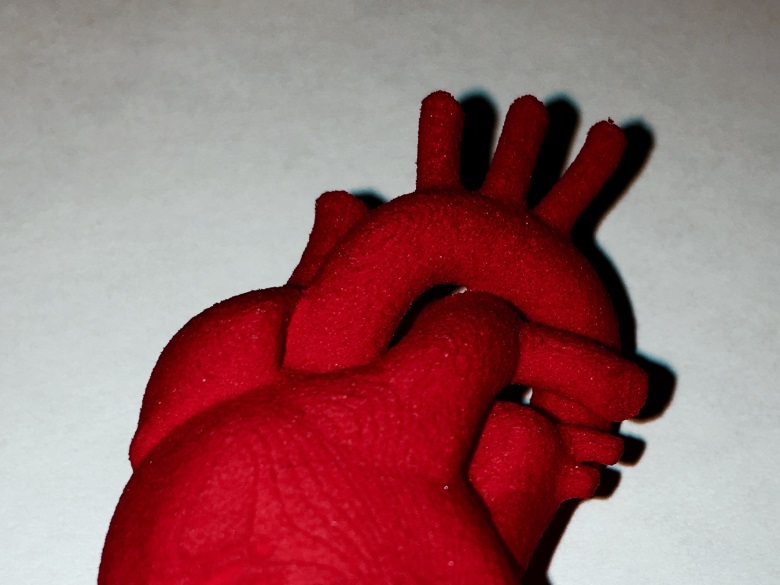 Model Heart | 3D Printing Shop | i.materialise
